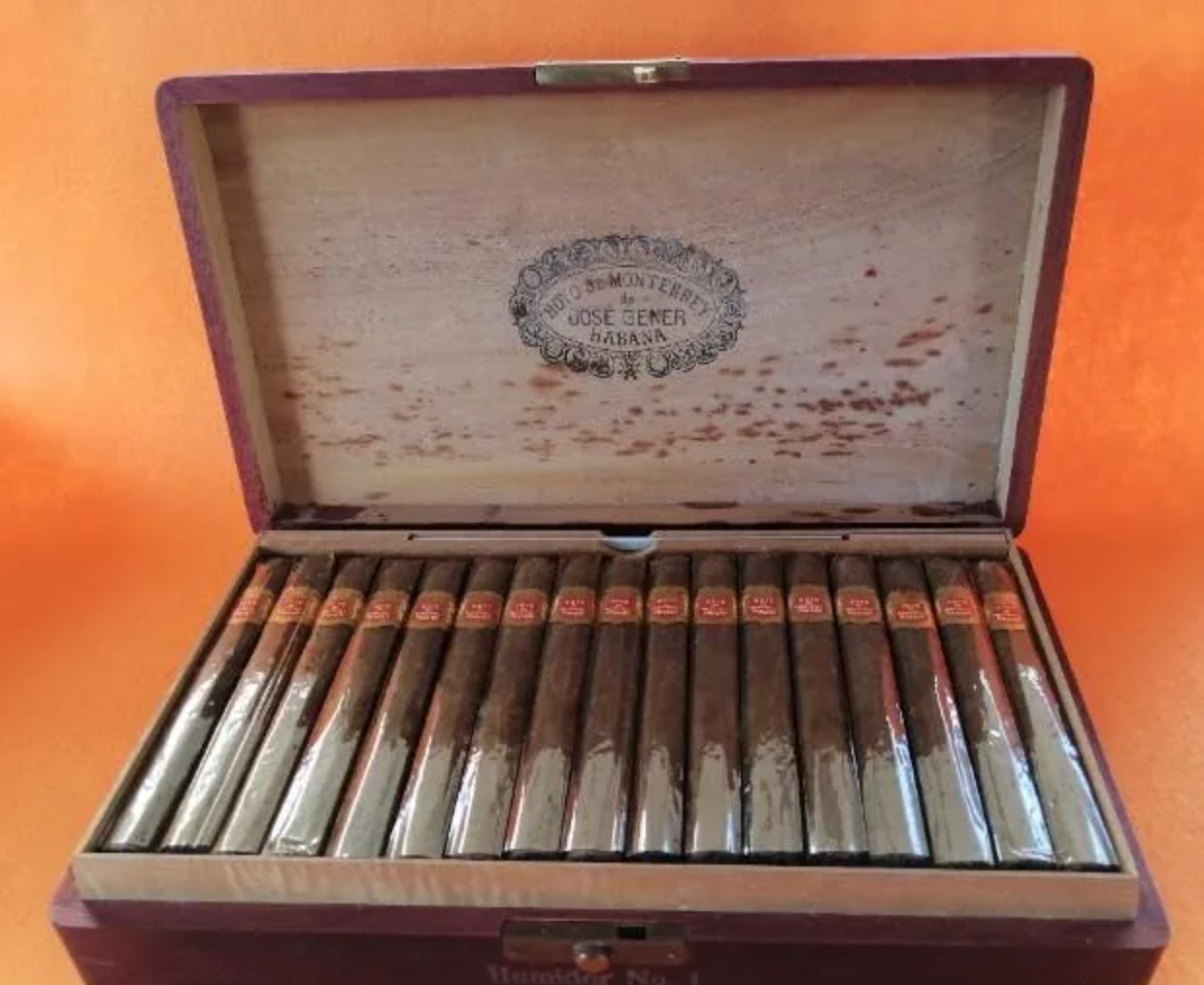 Calling FOH Colombo's: What are the chances this is the real deal ...