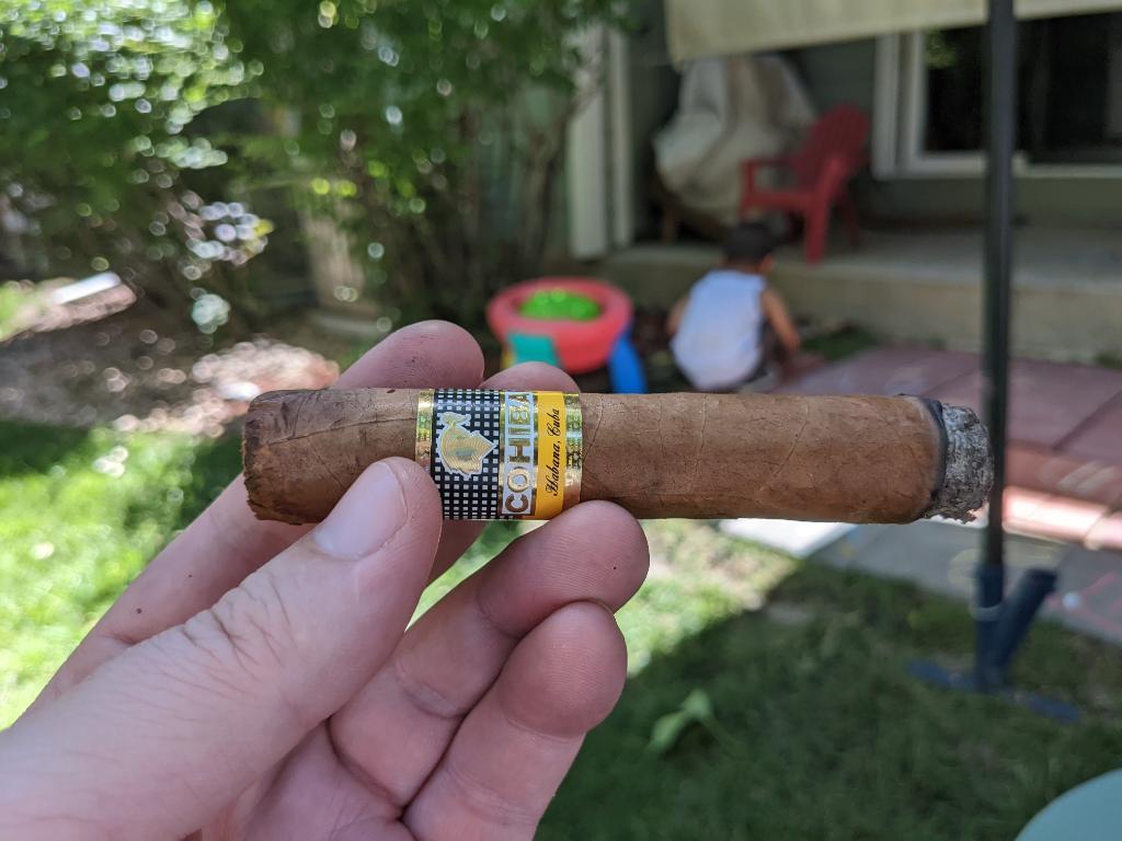 Happy Independence Day - Cigars Discussion Forum "the water hole ...